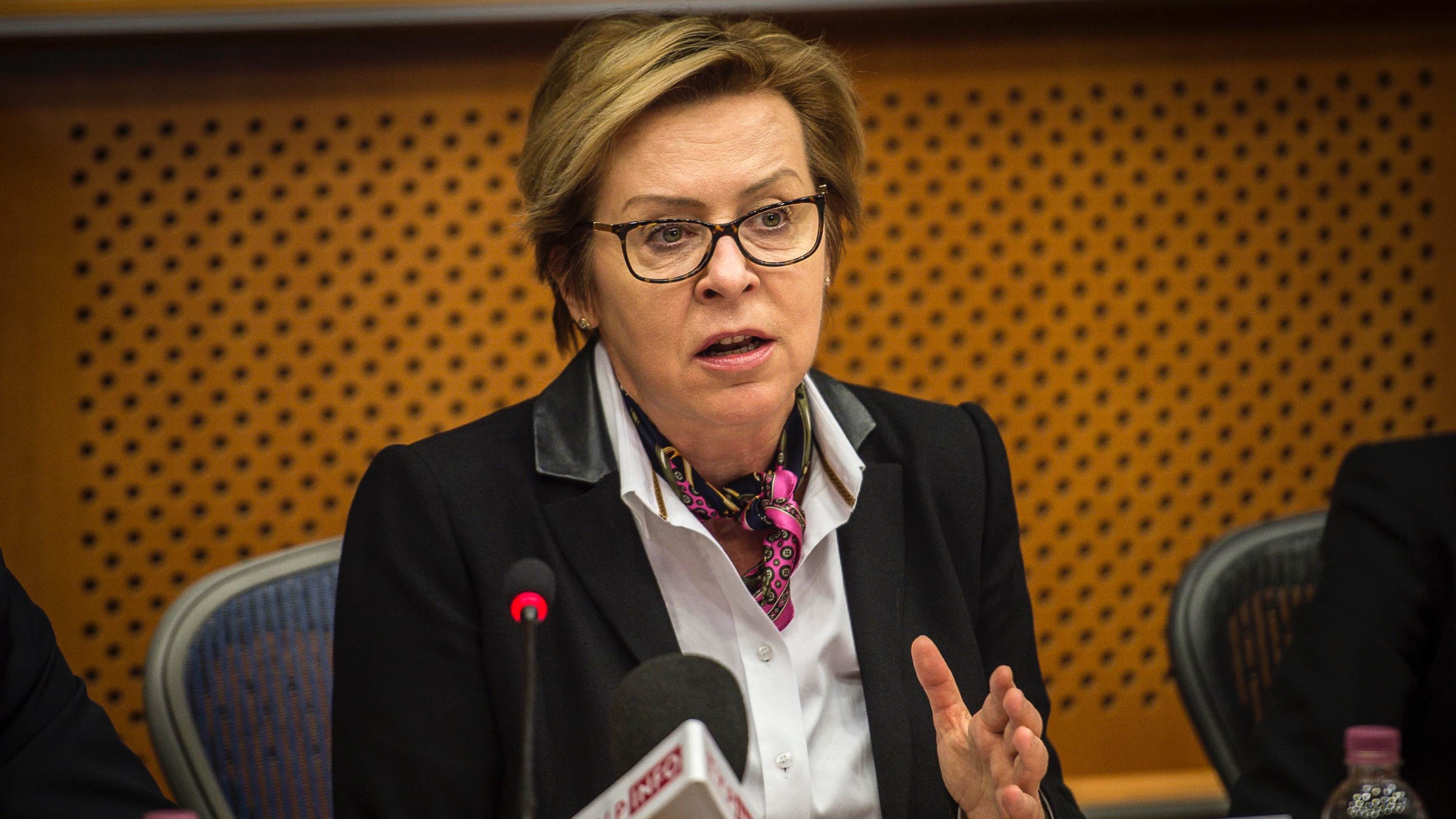 Sankcje na Polskę. Mocne wystąpienie Wiśniewskiej w europarlamencie Sankcje na Polskę. Mocne wystąpienie Wiśniewskiej w europarlamencie